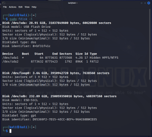 How to Install Kali Linux on a USB Flash Drive - Creating A Portable ...