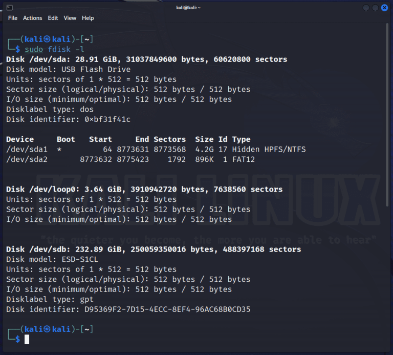 How to Install Kali Linux on a USB Flash Drive - Creating A Portable and Standalone Kali ...