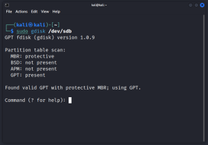 How to Install Kali Linux on a USB Flash Drive - Creating A Portable ...